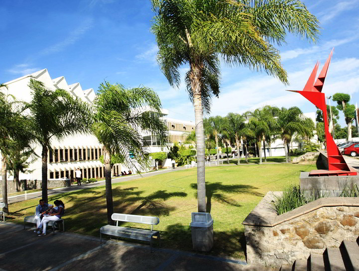 Universidad de Guadalajara : CUCS – Grupo Teleintra